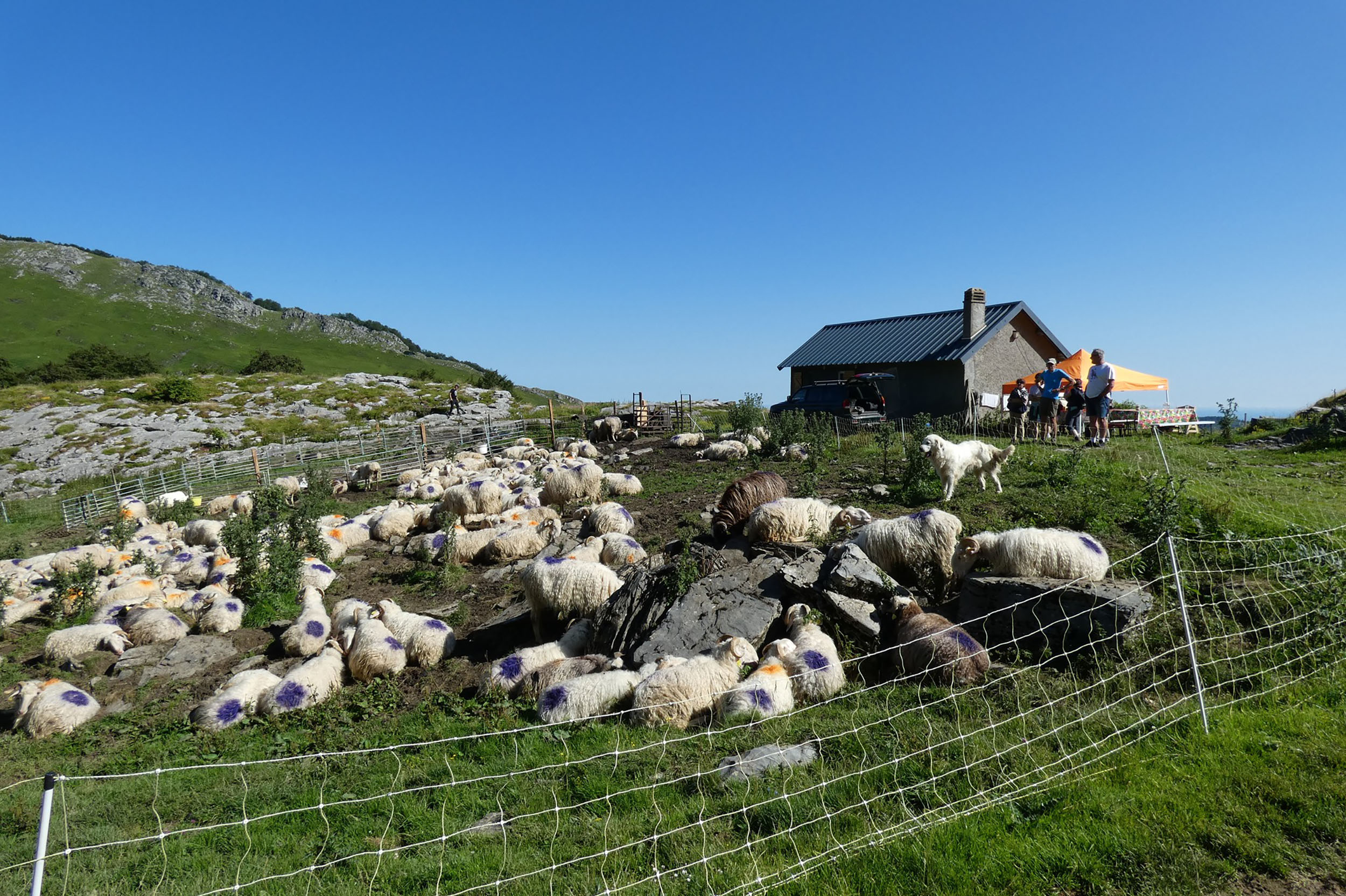 La Ferme du Brouquets BILHERES | Les Pyrenées