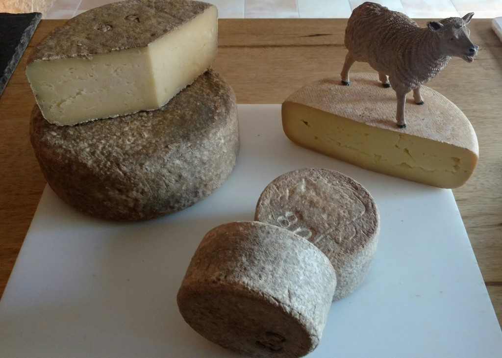 FROMAGERIE CAL ROUS PLANES | Les Pyrenées