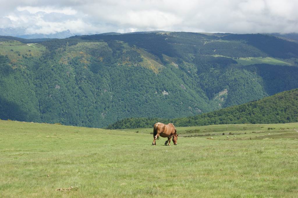 Le plateau de Beille en été LES CABANNES | Les Pyrenées