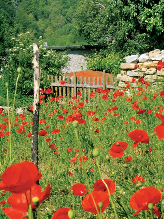 Bompas BOMPAS | Les Pyrenées